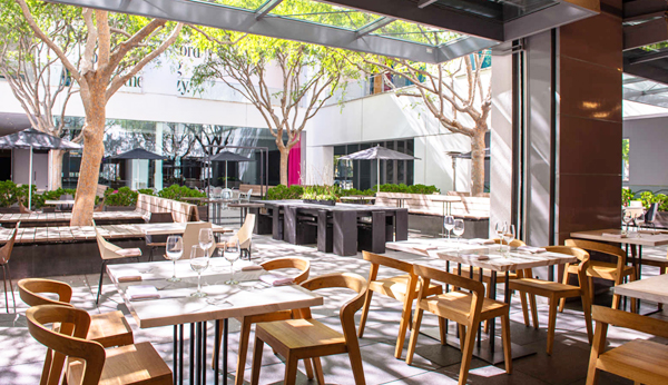 The Carl Macek Macross Museum